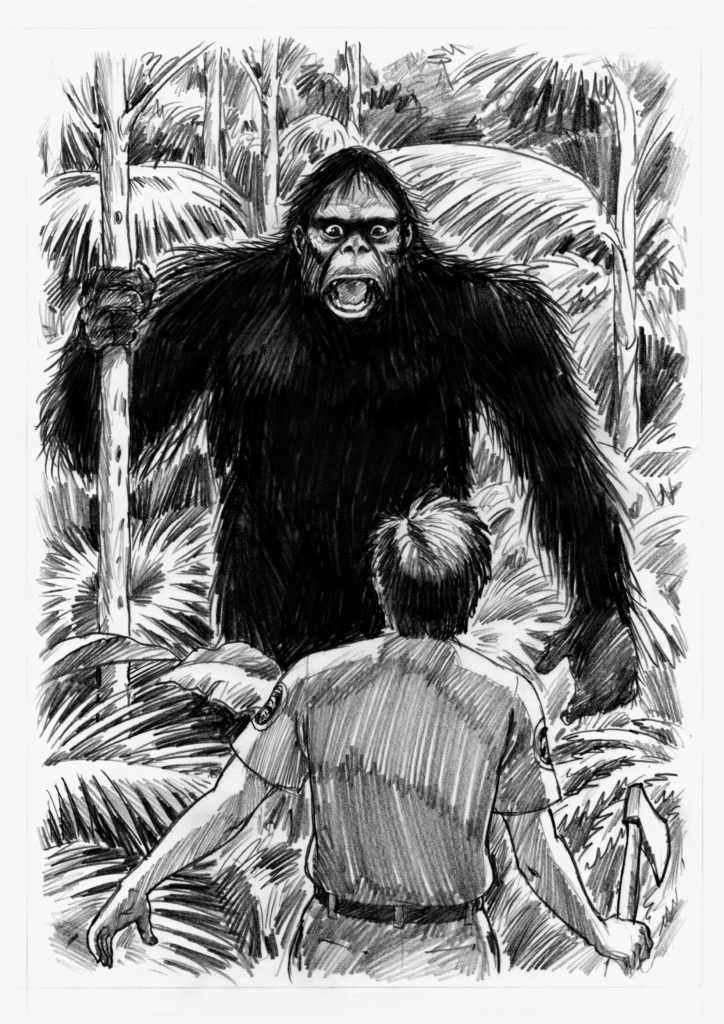 final yowie - The Fortean